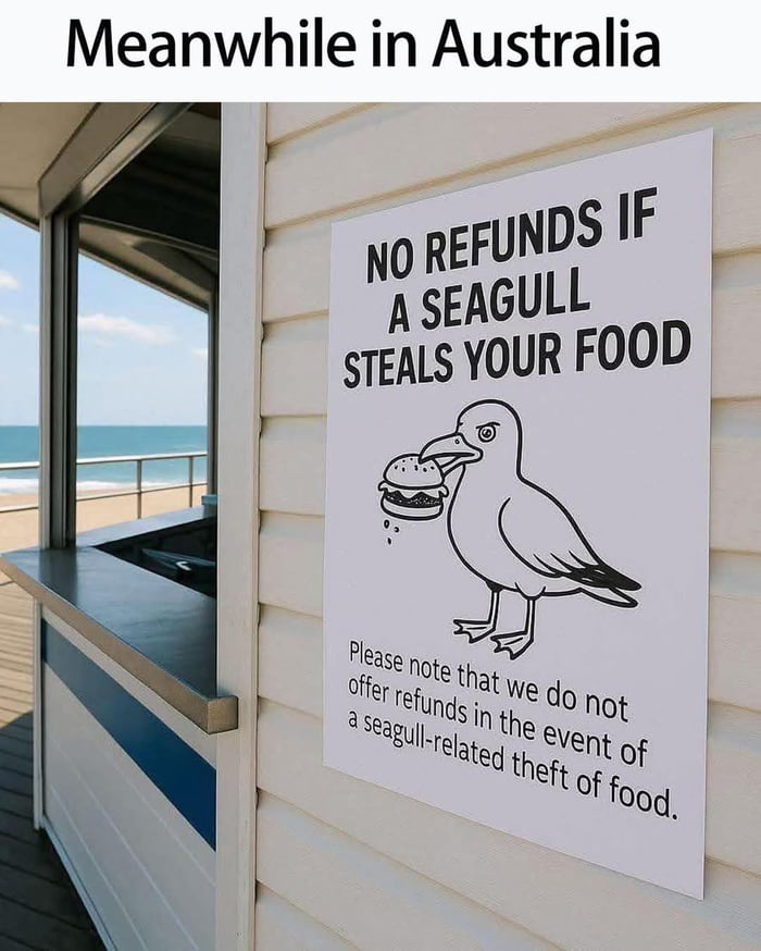 Steven Seagull - 9GAG