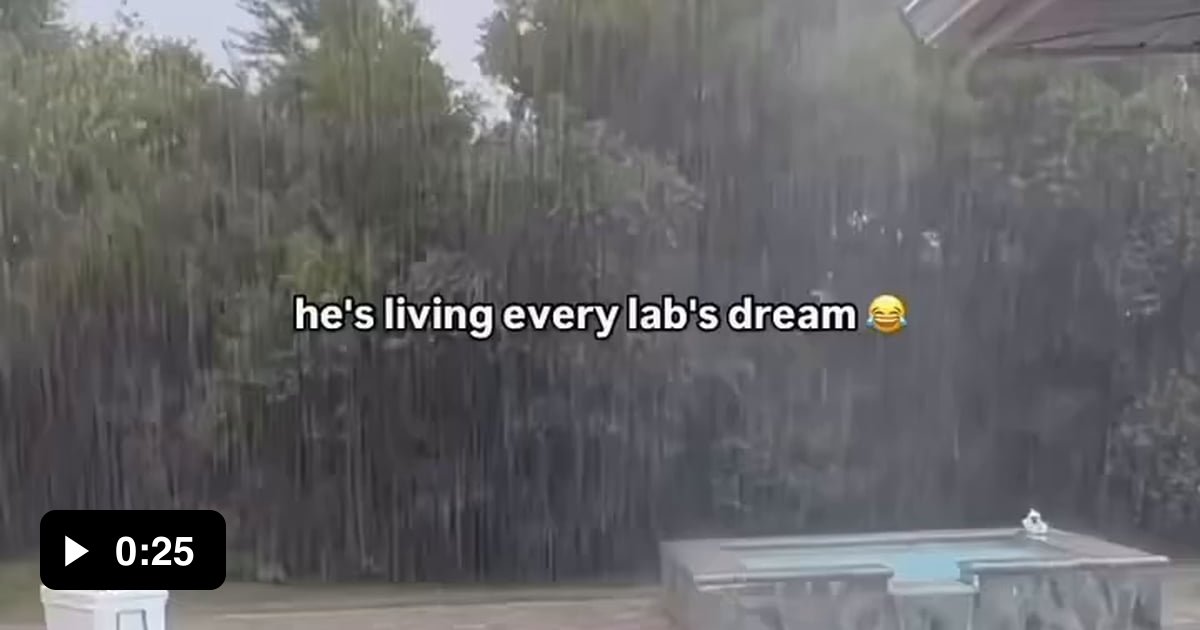 Living his best life, rain or shine - 9GAG