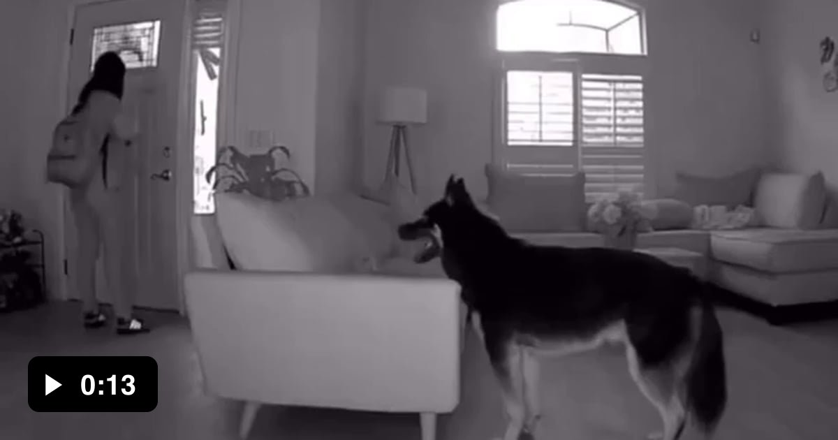 Men understand this behavior - 9GAG