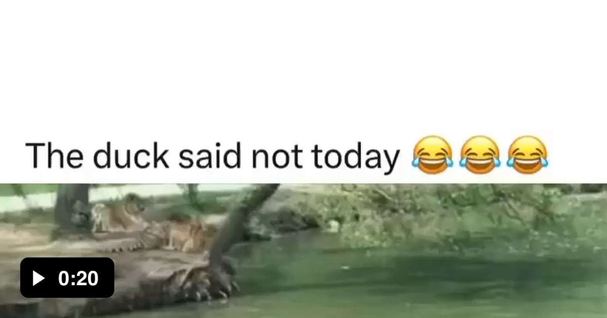 The duck said : NOT TODAY - 9GAG