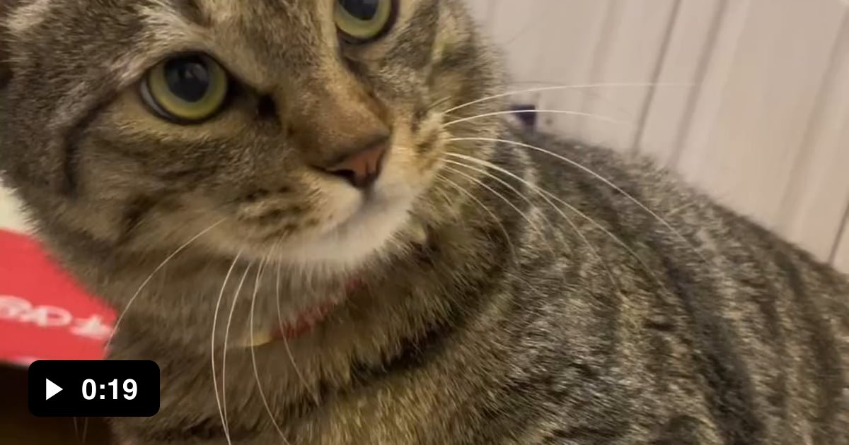 Dont mess with emily - 9GAG