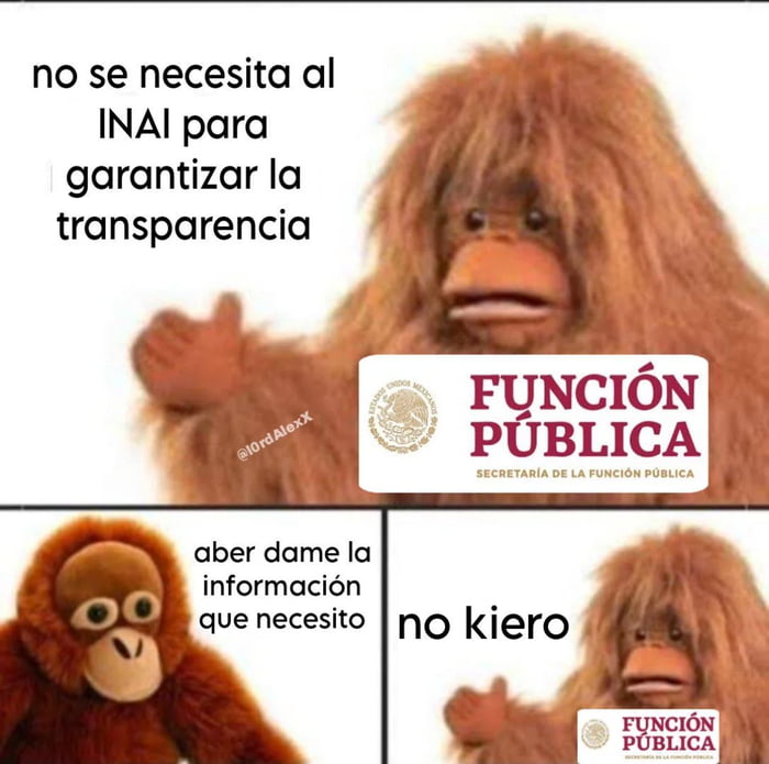 Ay no Lupe - 9GAG
