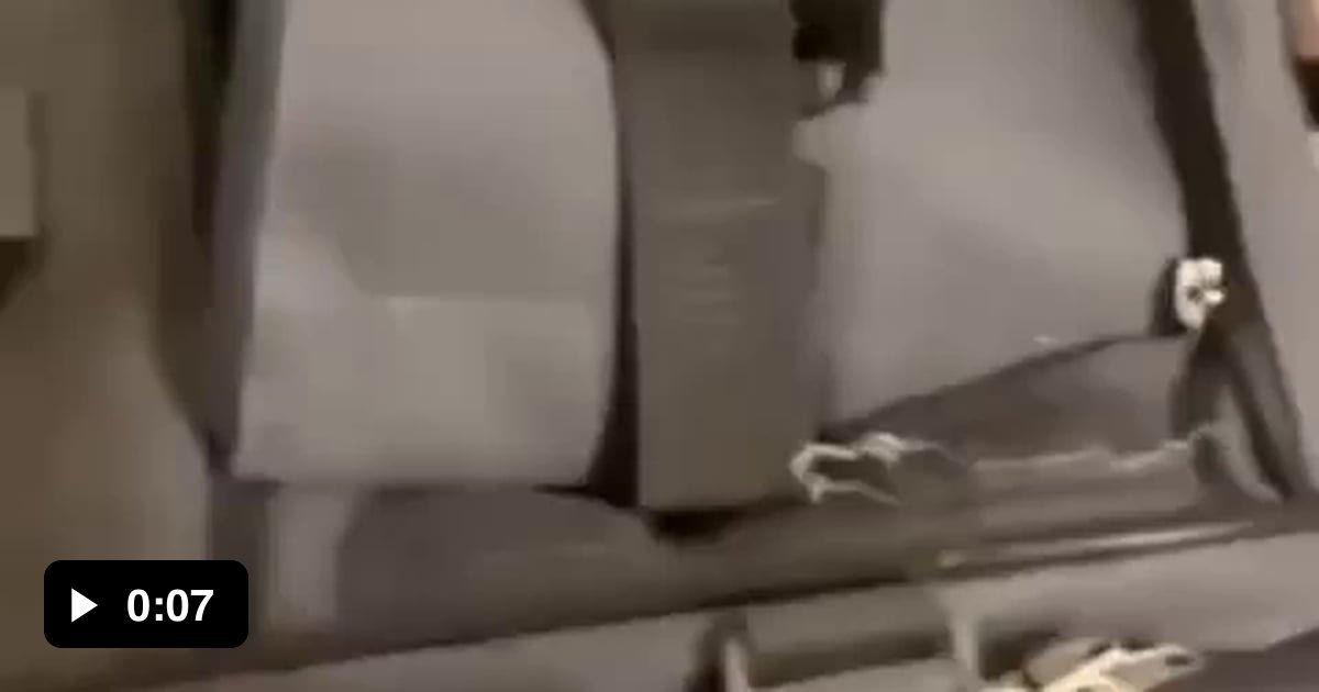 Cuteness attack - 9GAG