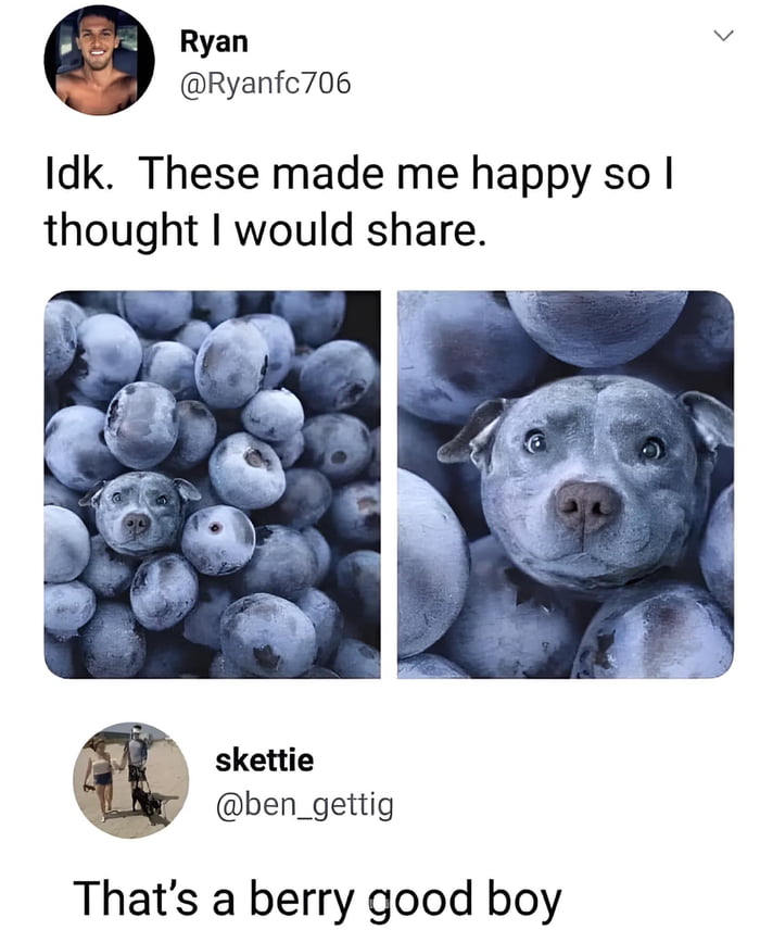 Berry good boy - 9GAG