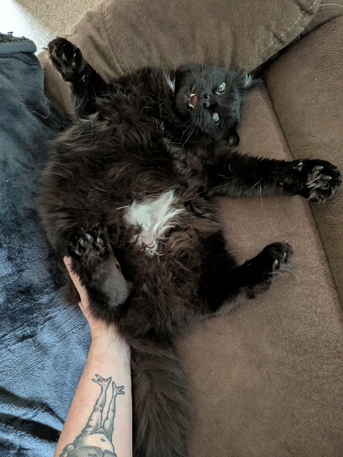 A strange deranged creature - 9GAG