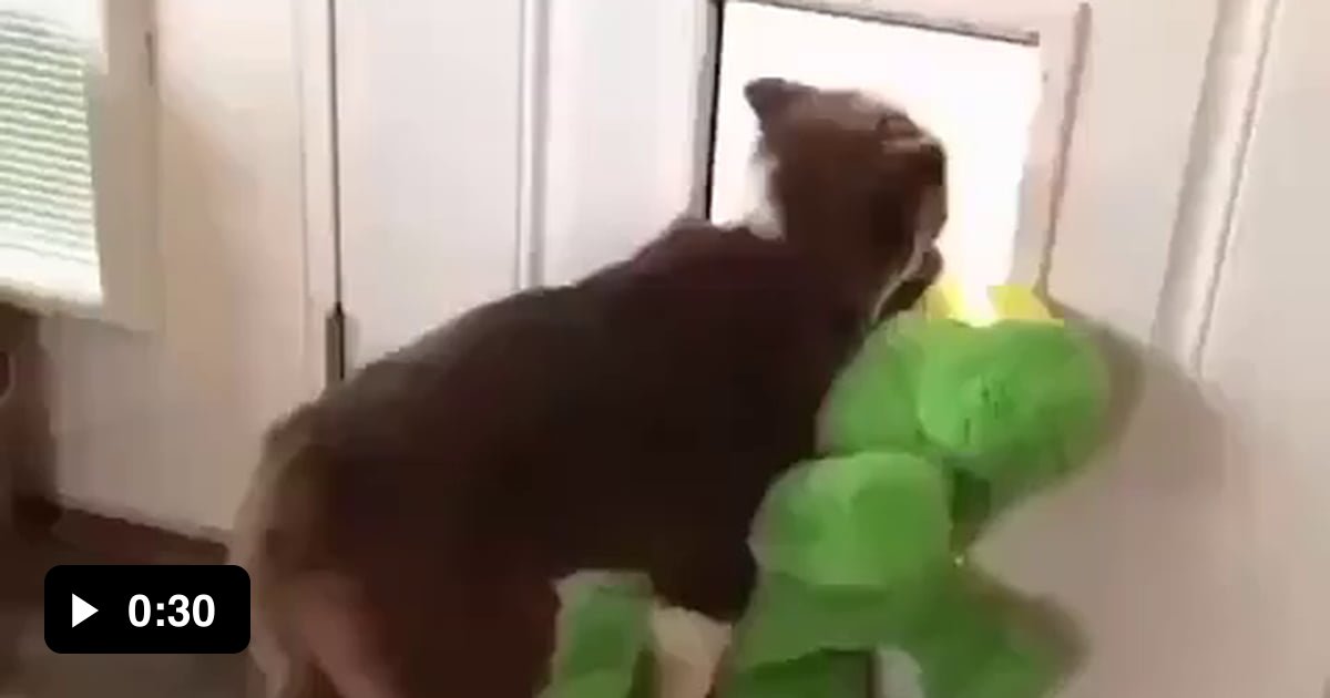 Inseparable friends - 9GAG