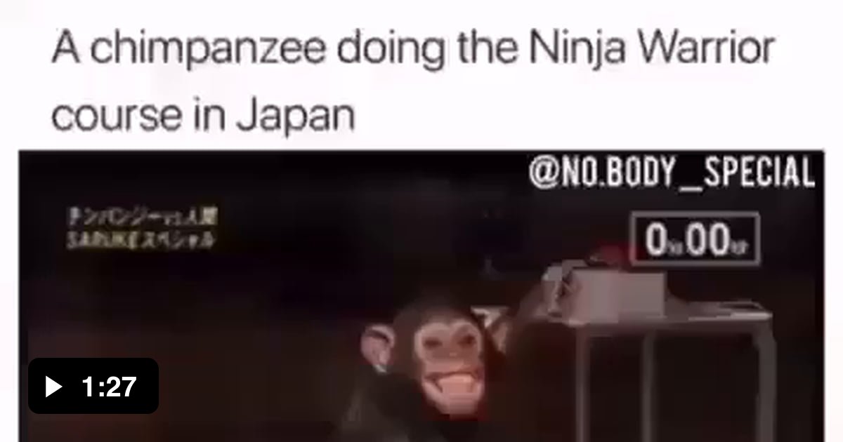 Monkey Ninja Worrier - 9GAG