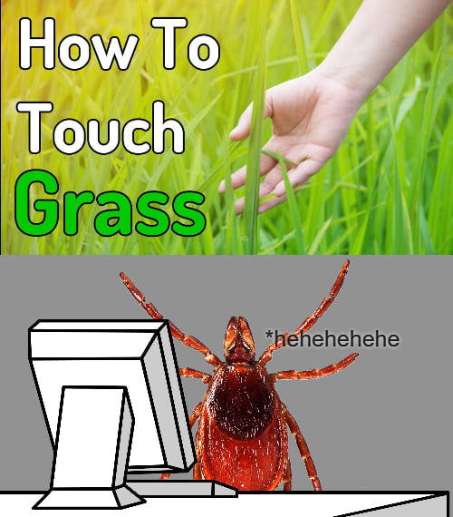 Who came up with this idea - 9GAG