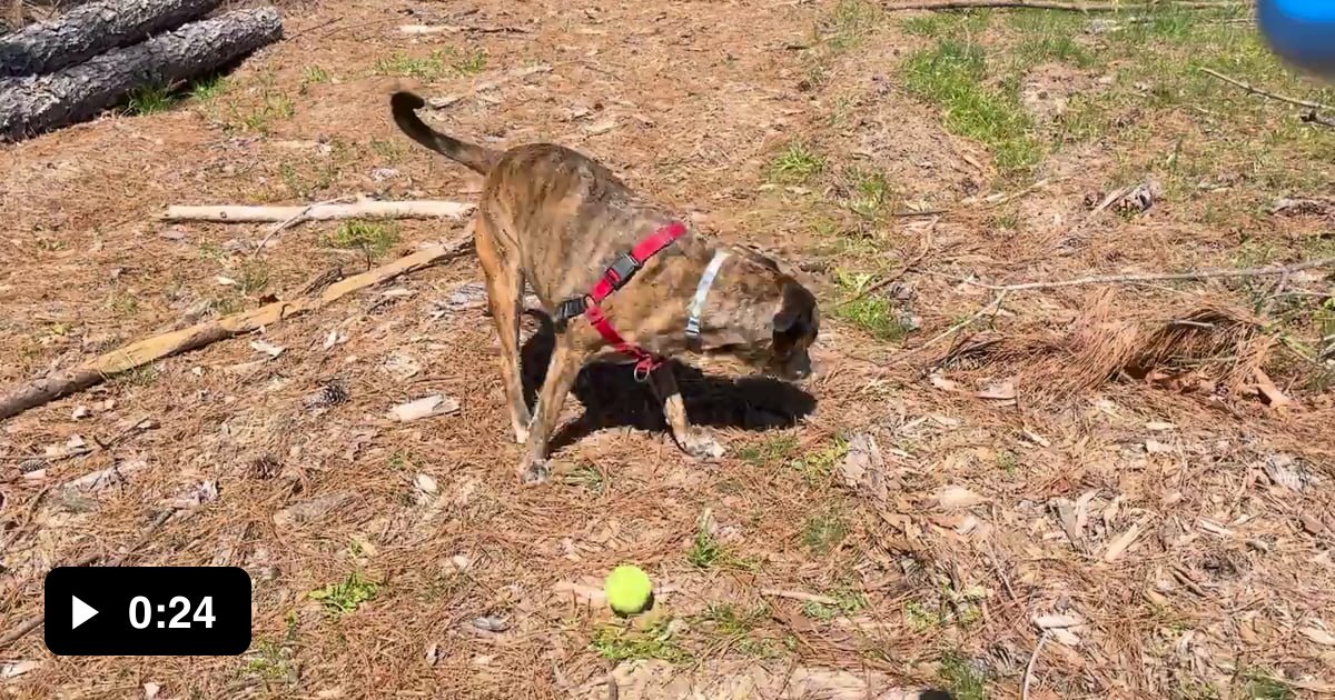 Serious tippy taps - 9GAG