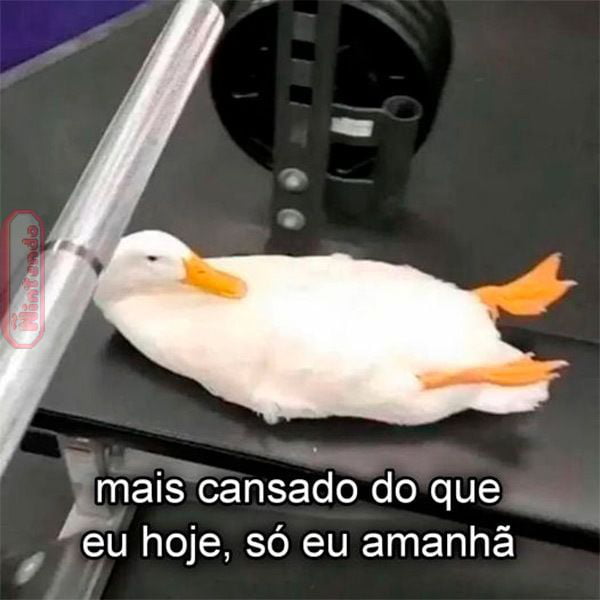 E nem eh meme - 9GAG