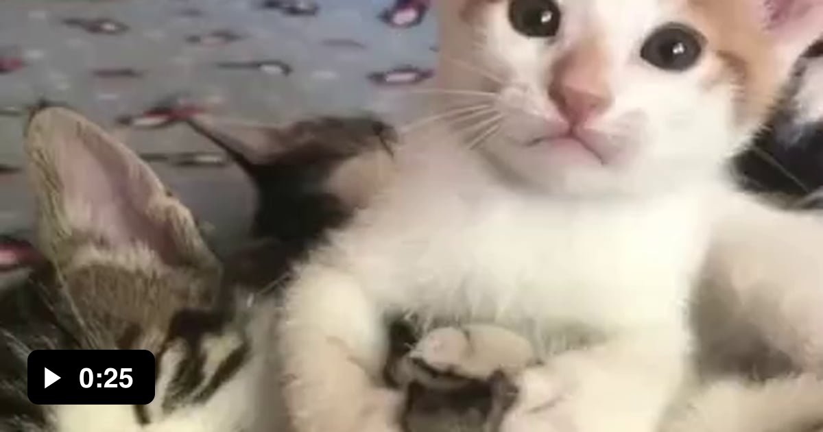 Hey stop that - 9GAG