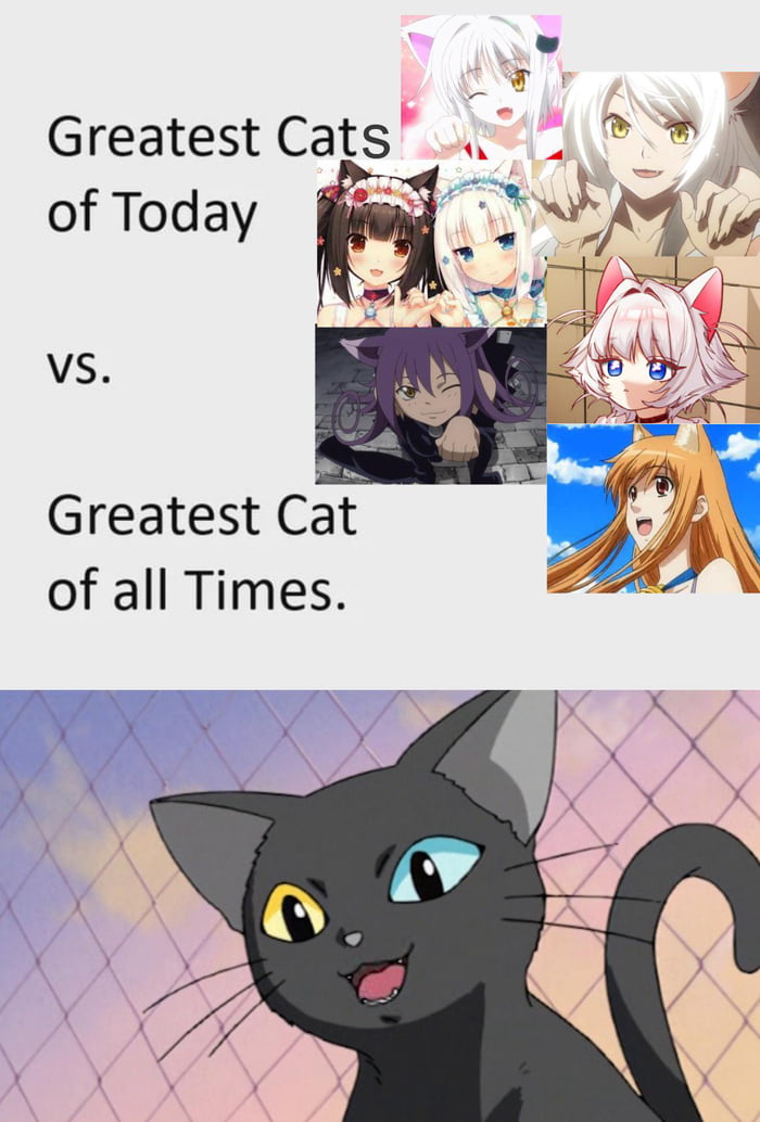 They’re all very good cats - 9GAG