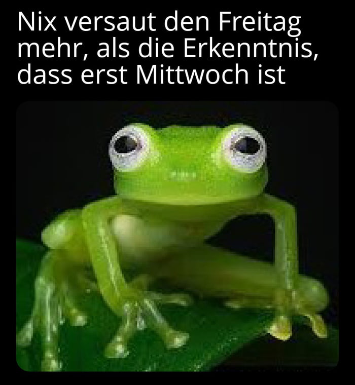 Wenigstens ist es Mittwoch, meine Kerle - 9GAG