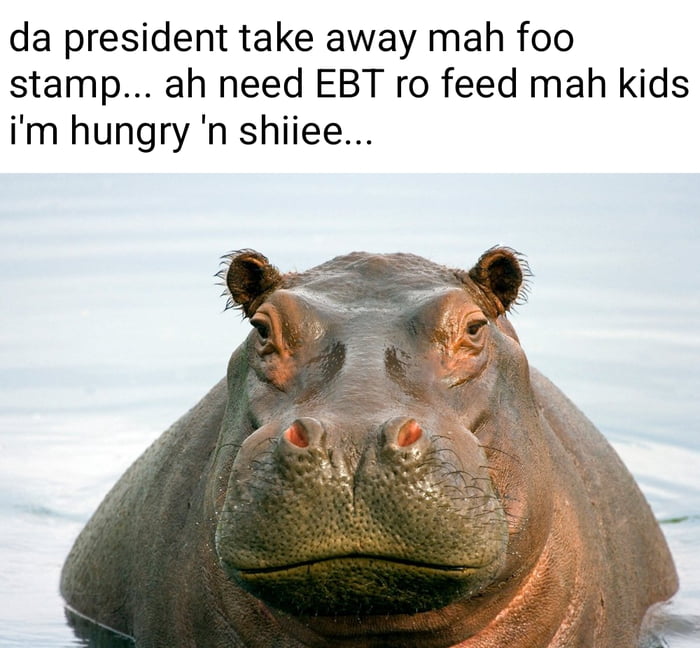 EBT pepo have 50% chance to survive with their fat reserves - 9GAG