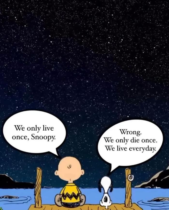 You only die once. - 9GAG