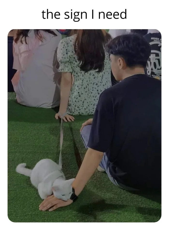 I see this an an absolute win - 9GAG