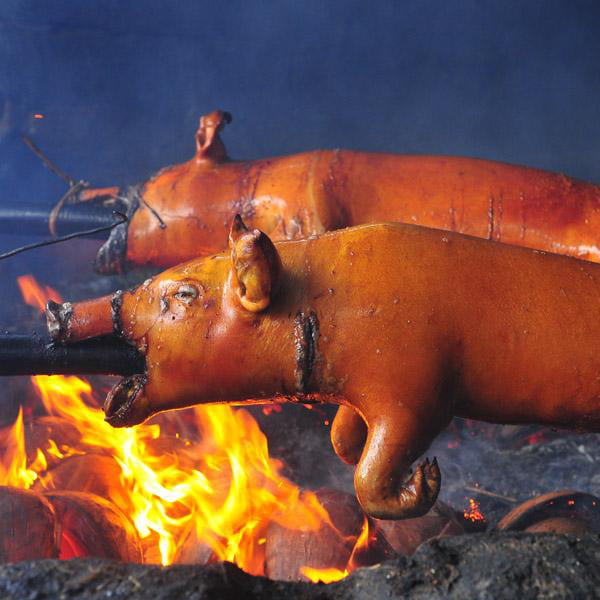 BBQ from indonesia ( the suckling pig ). In indonesia, its 100% halal ...