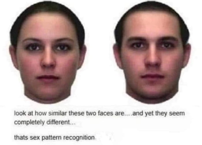 Almost identical - 9GAG