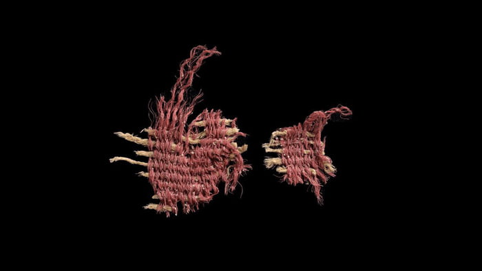3,800-year-old fabric dyed using scarlet worms found in the ‘Cave of ...