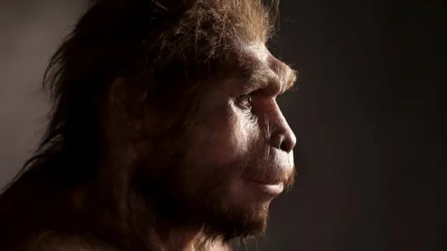 A caveman who drank water together with animals realized that all ...
