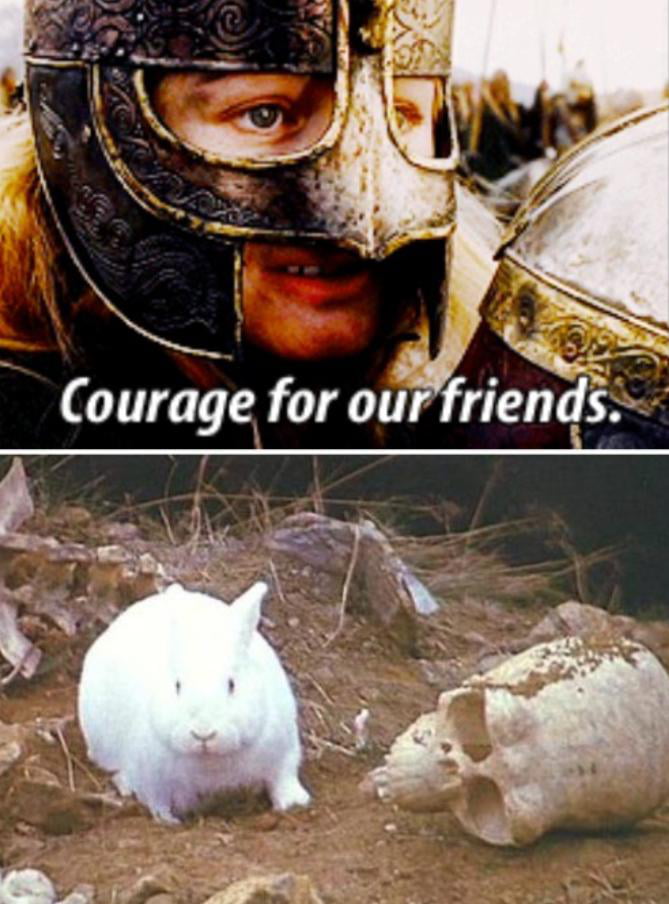 Courage Merry - 9GAG