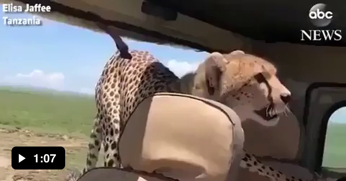 Just a quick vehicle inspection - 9GAG