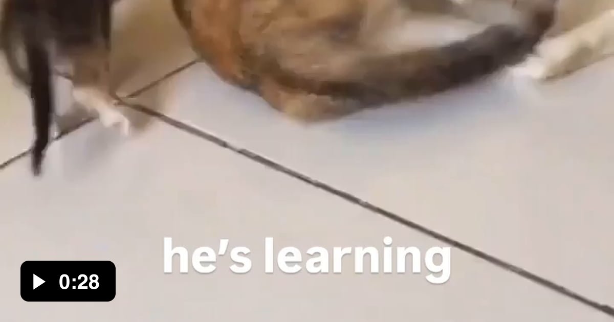 He’s learning - 9GAG