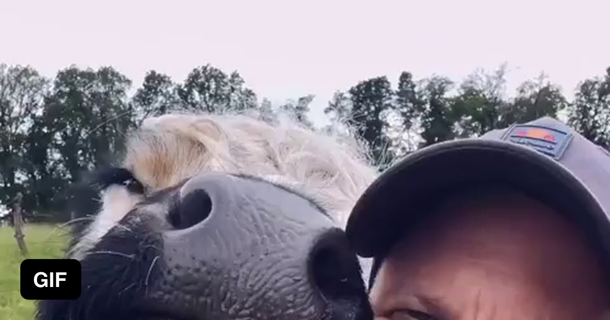 Friends come in all shapes and sizes - 9GAG