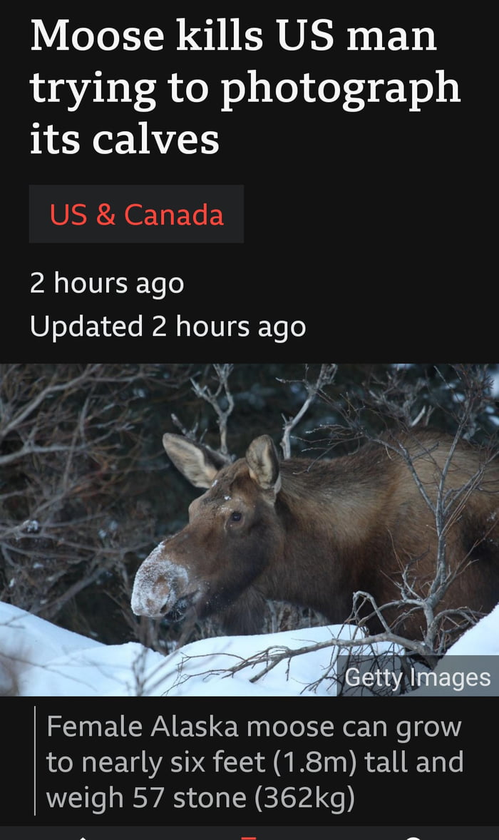 F*ck around, find out, level 10. - 9GAG