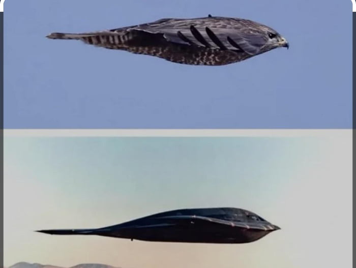 B2 Stealth Bomber compared to Falcon. - 9GAG