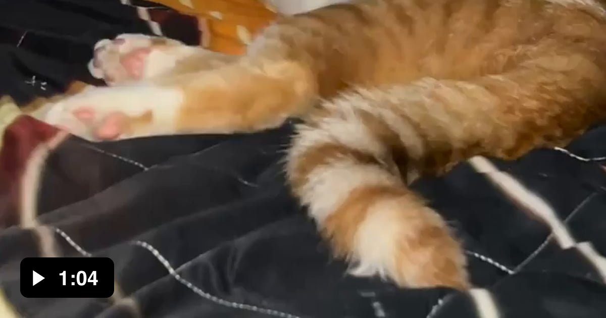 He’s a heavy sleeper. - 9GAG