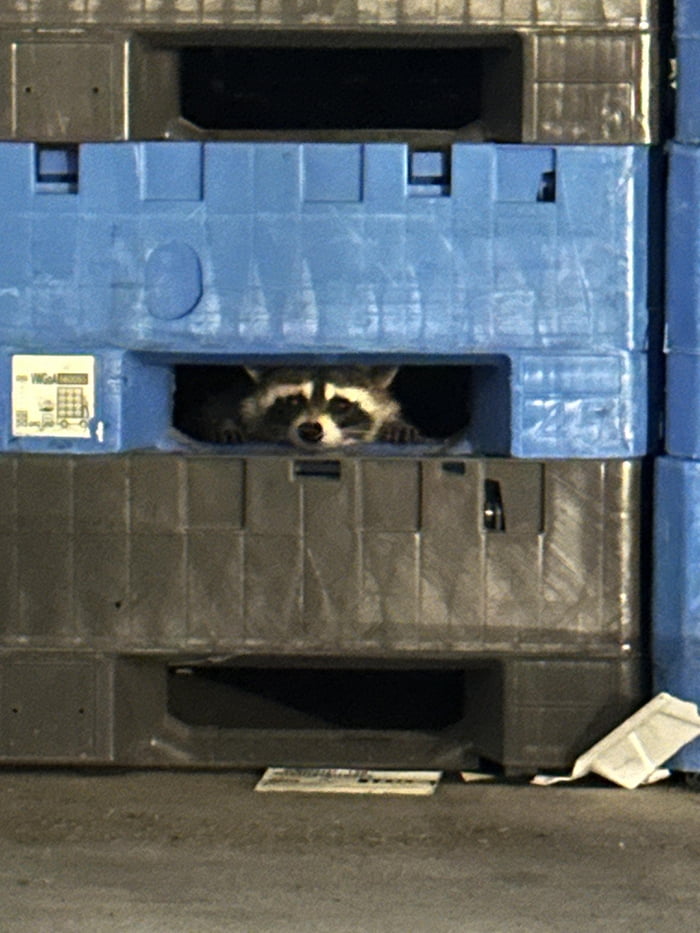 Just checking in from my spot. - 9GAG