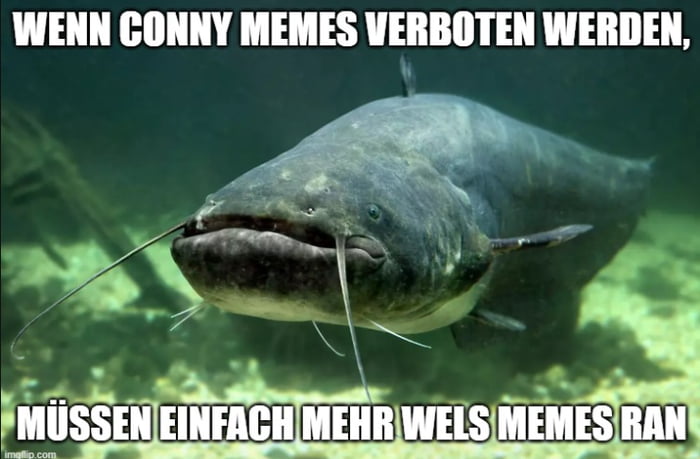Welsbert - Ein guter Ersatz für Conny - 9GAG