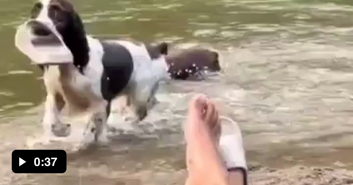 The way he's explaining throw it - 9GAG