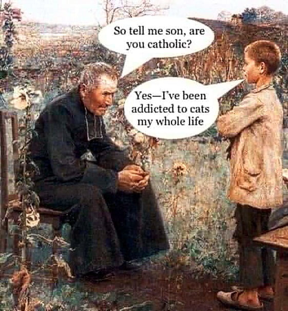 A purr-fectly honest confession. - 9GAG