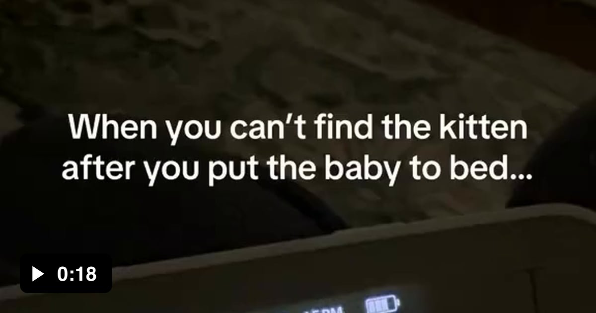 When you put the baby to bed and can't find the kitten, only to ...