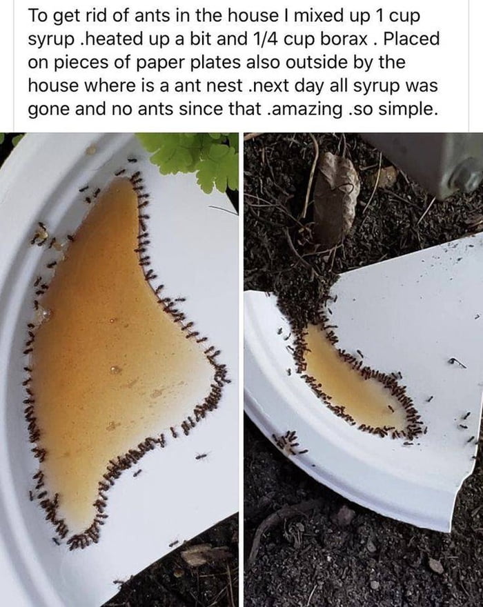 A simple solution to a common household problem, proving that sometimes the best remedies are ...