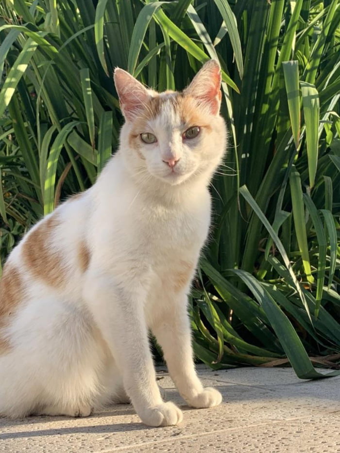 Welcome Marlo! 8 & strong - 9GAG