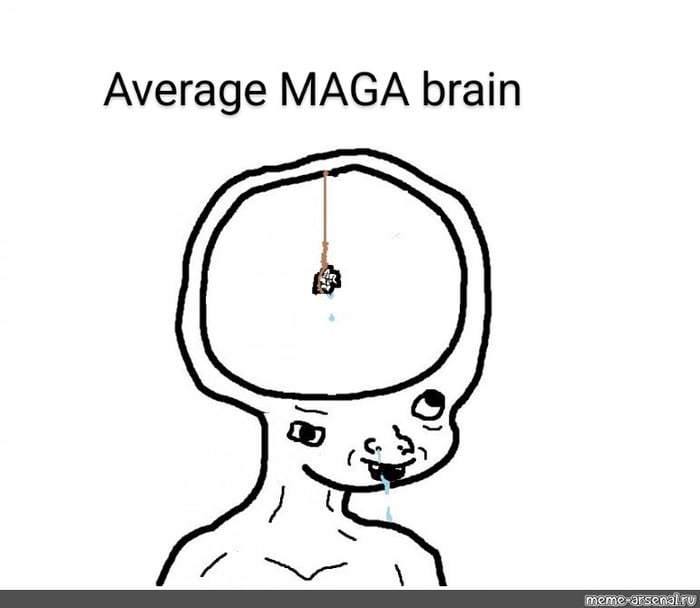 Average MAGA brain - 9GAG