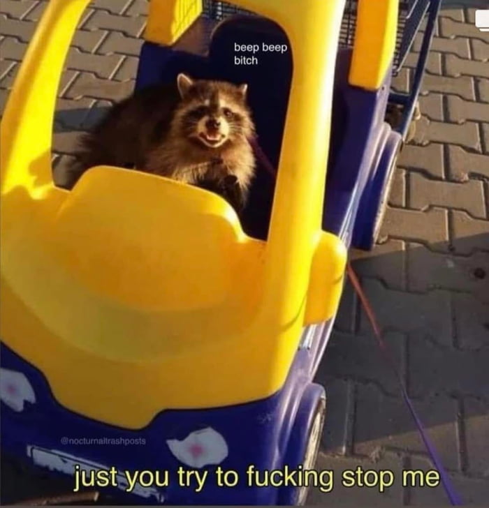 Try to stop me - 9GAG