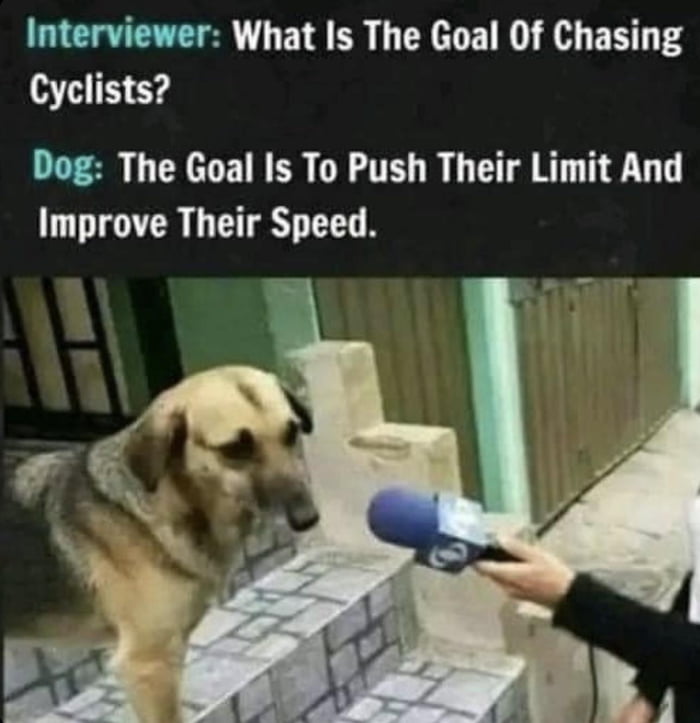 Cute motivator - 9GAG