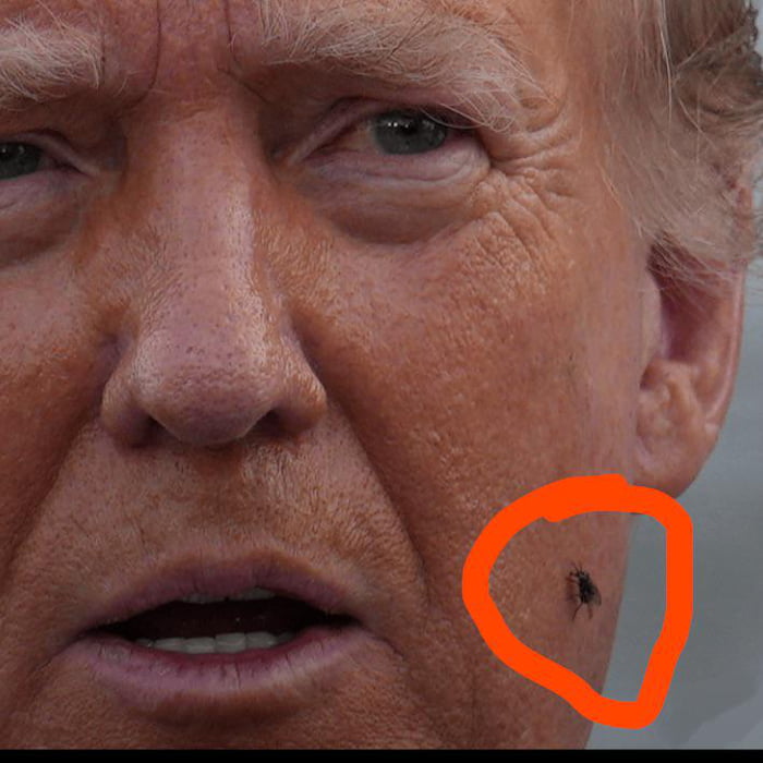 The Fly has Spoken - 9GAG