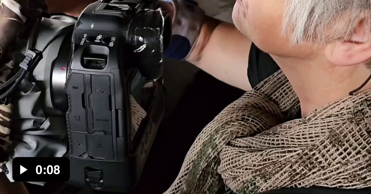 Just a cat checking out a vending machine - 9GAG