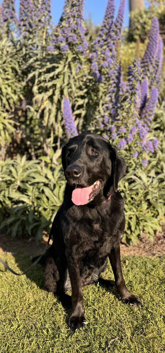 Goodbye Donut - 9GAG