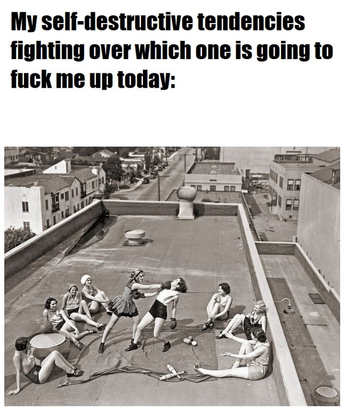 Yes, they have nice legs. - 9GAG