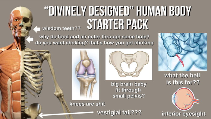 "Divinely Designed" Human Body Starter Pack - 9GAG