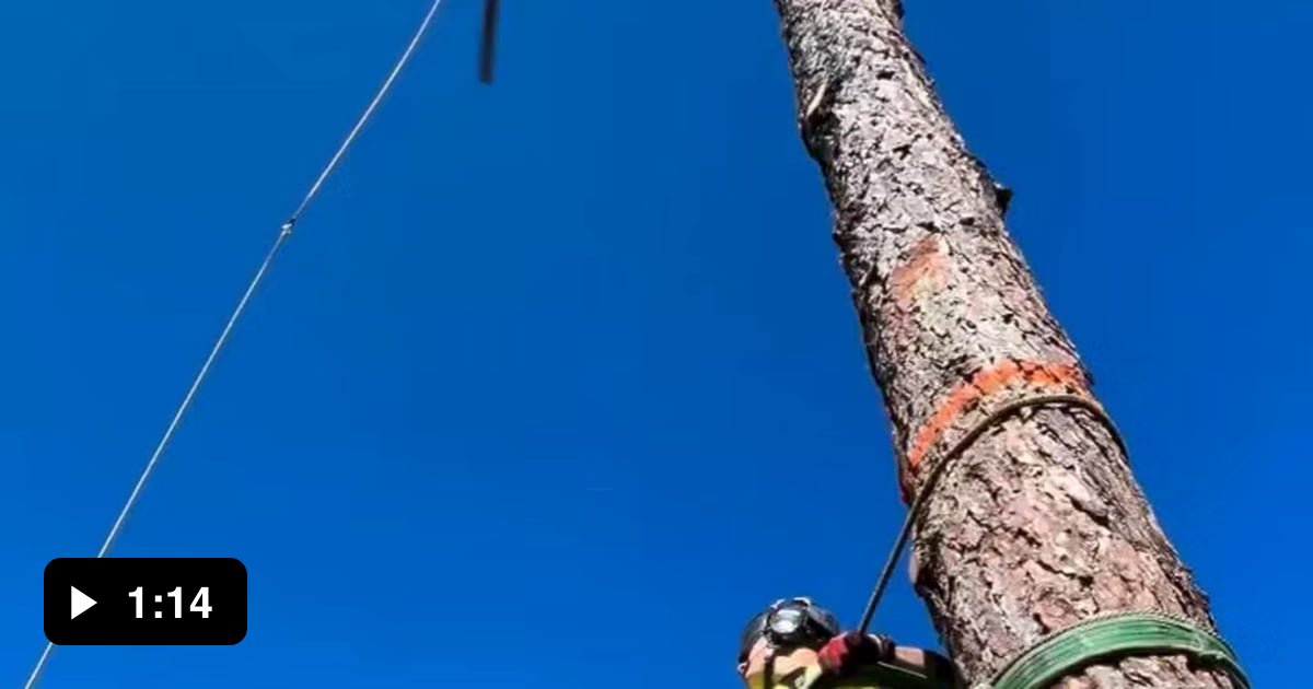 Wood Work 9gag
