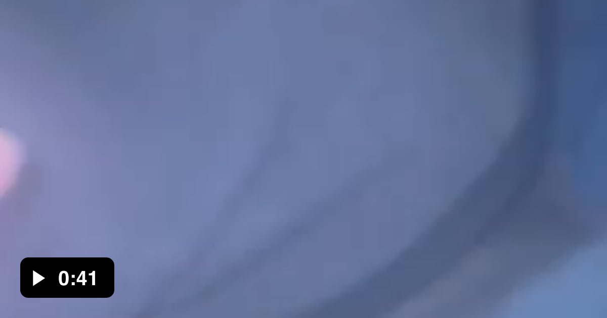 Wait for the paw 😂 - 9GAG