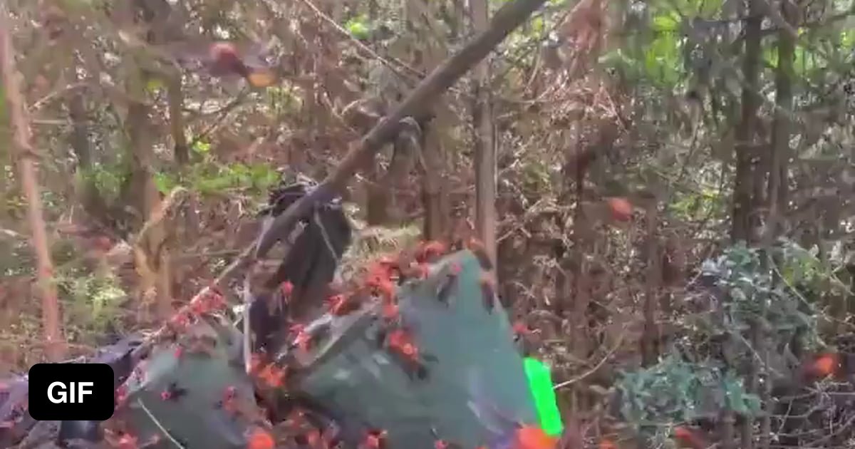 Hanz? Flame thrower? … nein.. bring the himmelandhisthirdriechen… - 9GAG