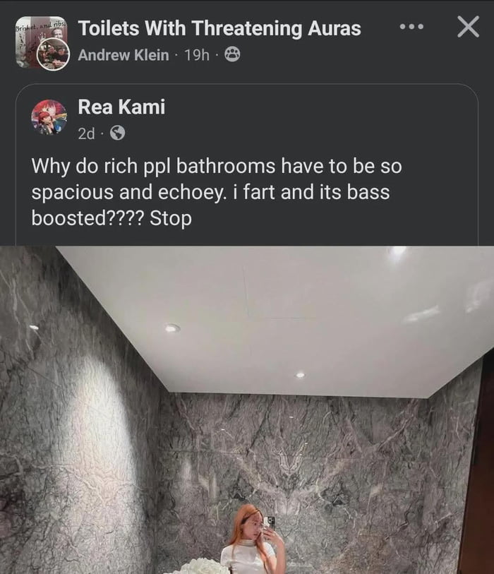 The acoustics in these bathrooms are something else - 9GAG